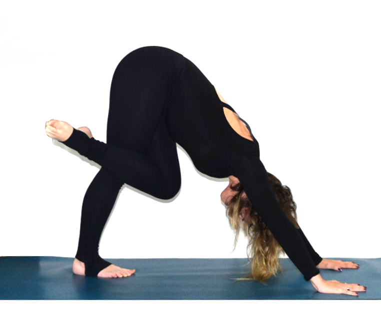 Downward Facing Dog Poses - 10 New Ways To Do Downward Dog | By ...